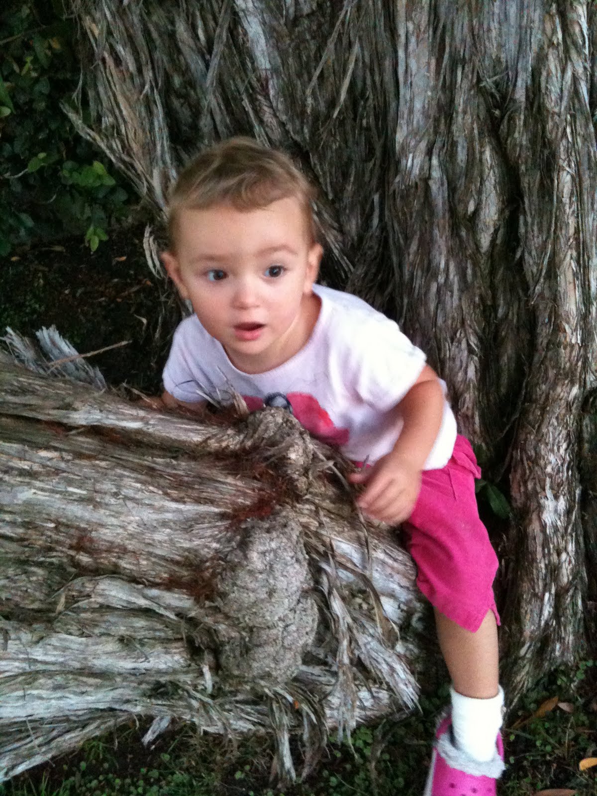 i haven't showered in 18 months: The Week of the Penis