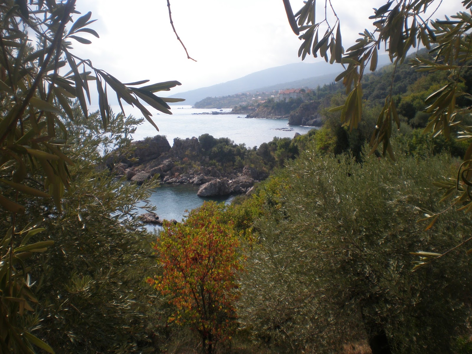 ΚΟΙΝΩΦΕΛΕΣ ΙΔΡΥΜΑ ΠΕΡΣΕΥΣ ΑΘΗΝΑΙΟΣ: 2013
