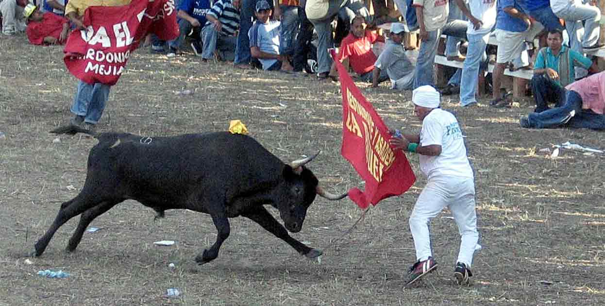 FIESTAS EN CORRALEJAS