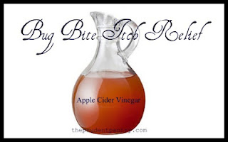 The Prudent Pantry: Bug Bite Itch Relief with Apple Cider Vinegar