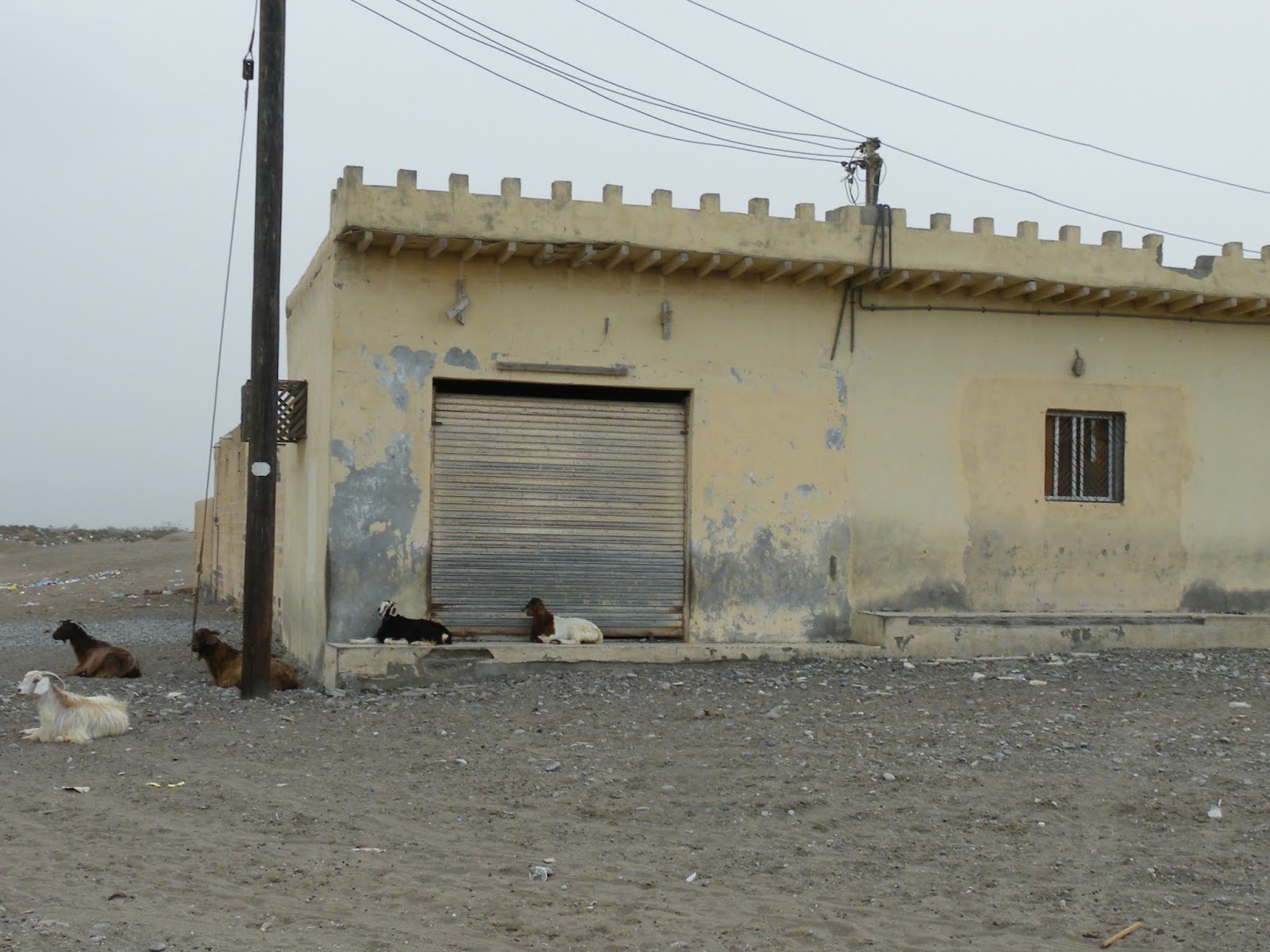 Go with Henry: Rural Al Musannah - castles, fishing villages & shops