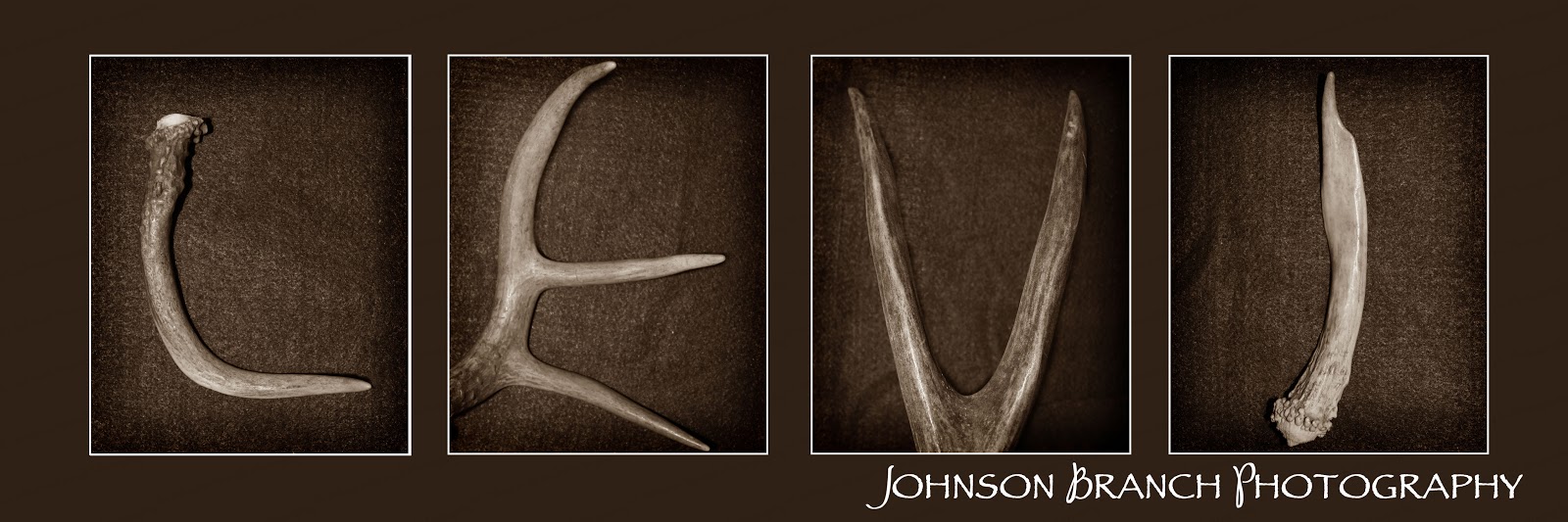 Johnson Branch Photography: Antler Alphabet Letters