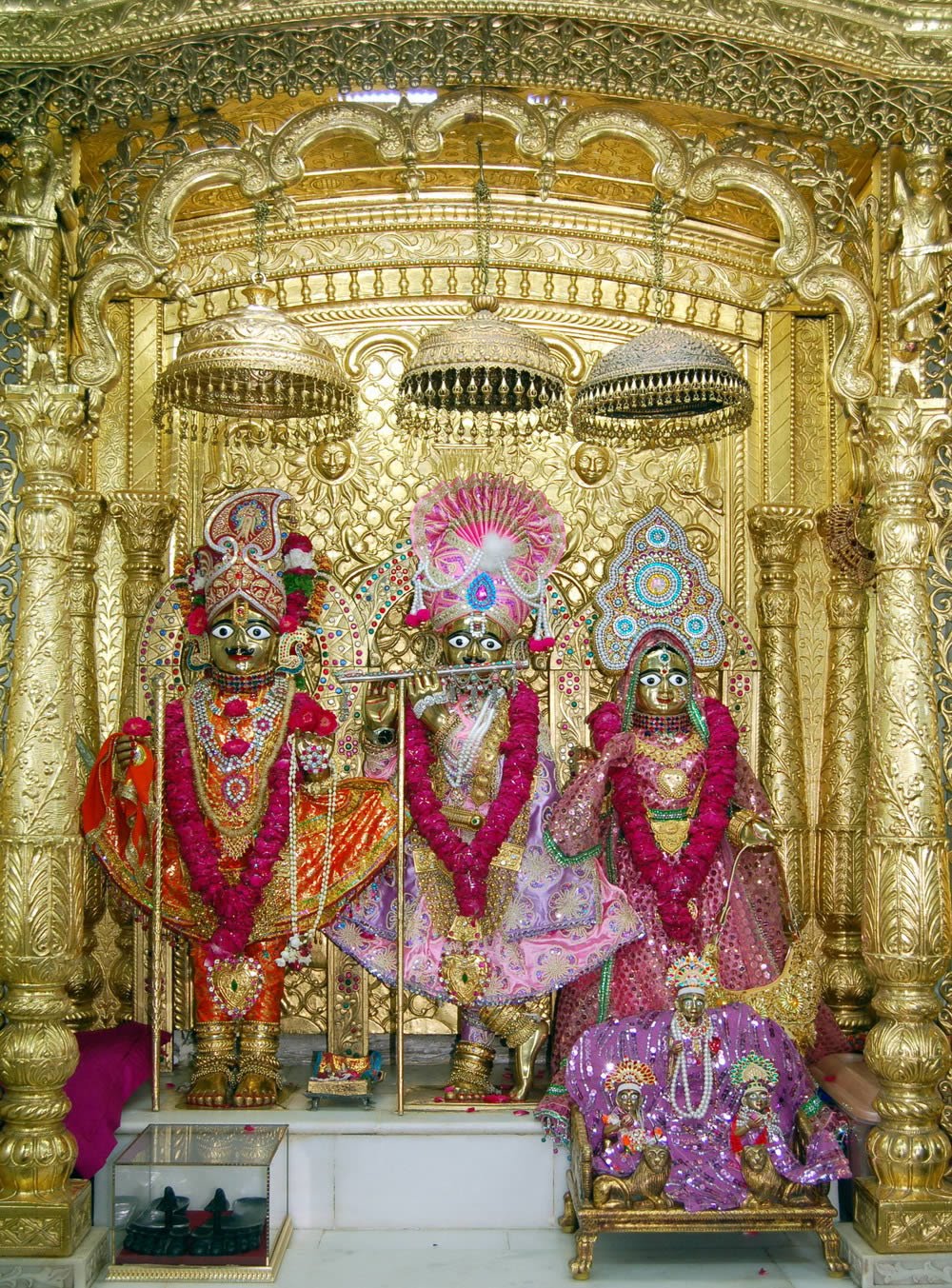 Harikrishna Maharaj