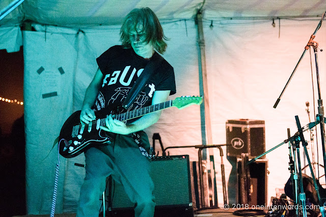 one in ten words: Hillside 2018: Day 2: faUSt - Concert Photos