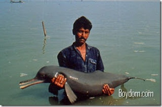 creativity is god: Magical GANGES