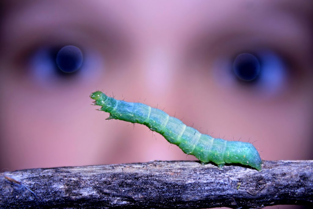 Yovel: The Great Shabbos Inching Near ~ Soul Mazal: Yovel: The Great ...