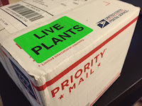 List of Places I've Ordered Plants From Online [Backyard Neophyte ...