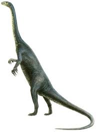 Mundo dinossauro: Aetonyx