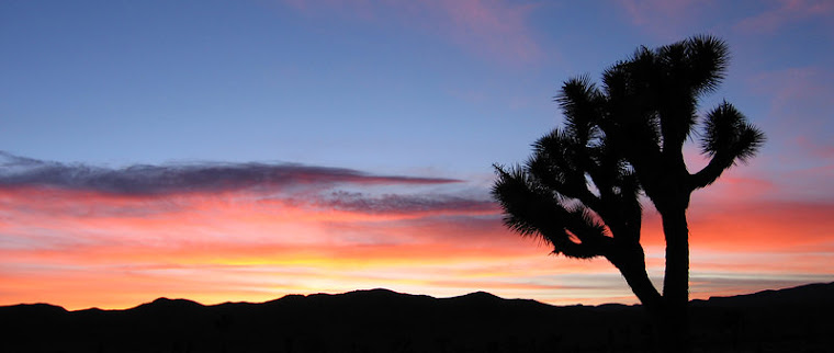 Explore A Bit More: Lee Flat, Darwin Plateau Exploration, October 12th ...