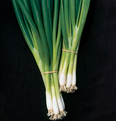 CSA Shares: Scallions