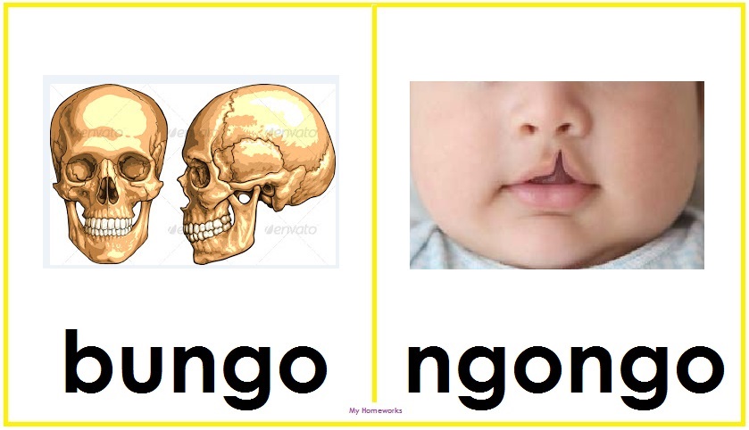 My Homeworks: MAGKASINGTUNOG NA SALITA BUNGO- NGONGO