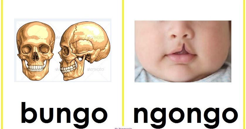 My Homeworks: MAGKASINGTUNOG NA SALITA BUNGO- NGONGO