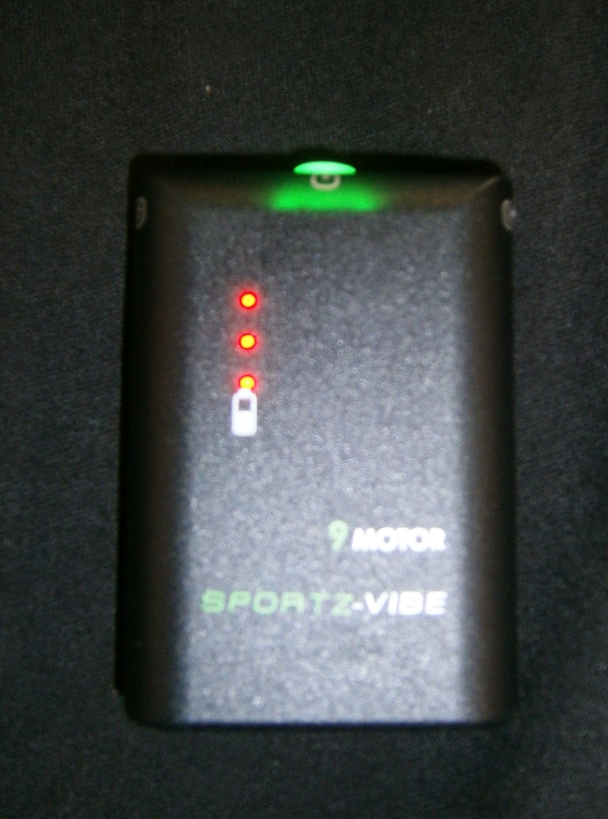 Leonard Coombe Blog : Horseware Sportz Vibe Horse Massage Rug