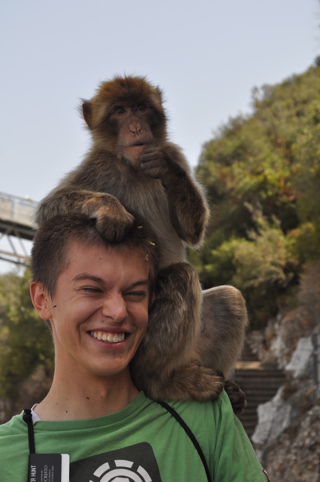 The Spain Malaga Mission: Baptisms, Zone Conference, New Elders and a mouse