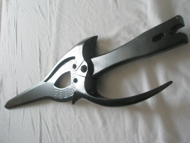 Arcanz: Storm Riders Sword