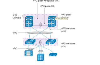 Understanding vPC Components ~ Network & Security Consultant