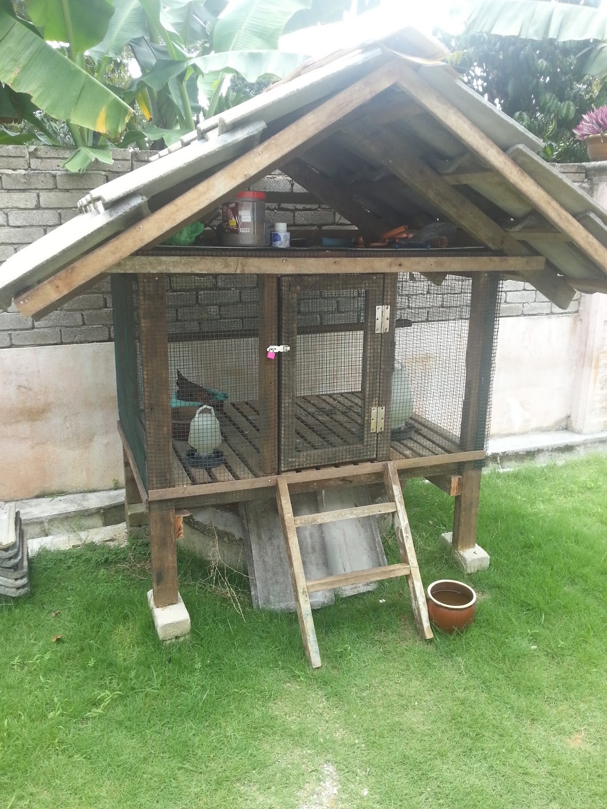 Intai Santai: Proses Pembikinan Reban