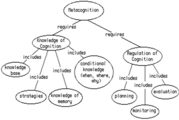 Cognition and Metacognition
