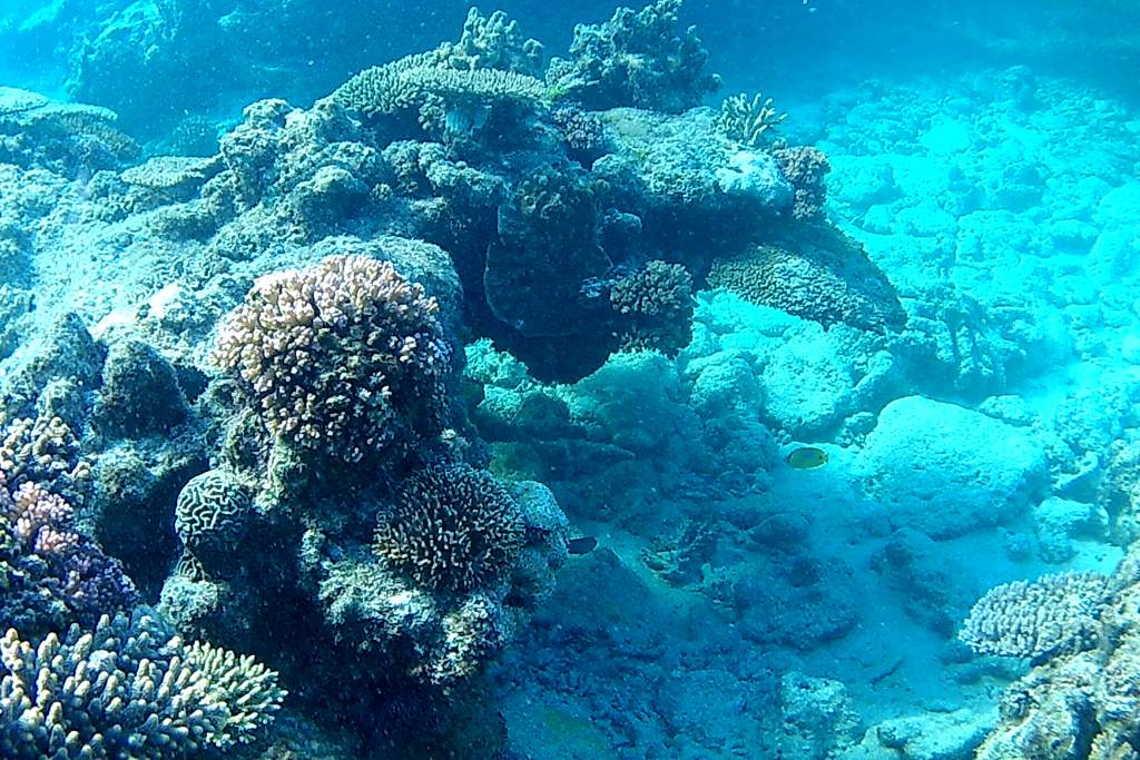 Dreamtime Sail: Off to Masthead Island for some reef hopping South.