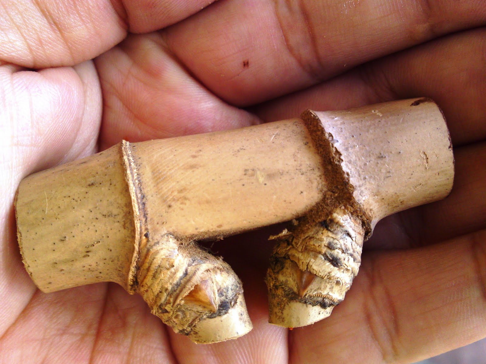 BLOG KOLEKSI MEGA MISTIK DAN ANTIK ANTARABANGSA: Buluh Tumpat Bertemu ...