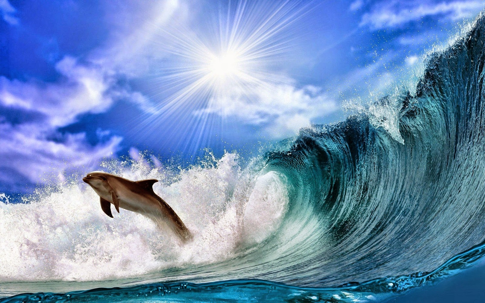 Dolphin - HD Wallpapers | Earth Blog