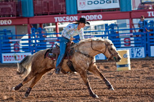 RevitaVet: March 2013