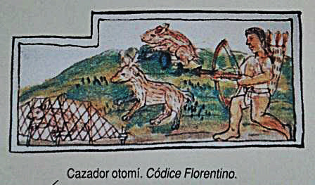 Where does the word Otomi come from? – Pre-Columbian Americas