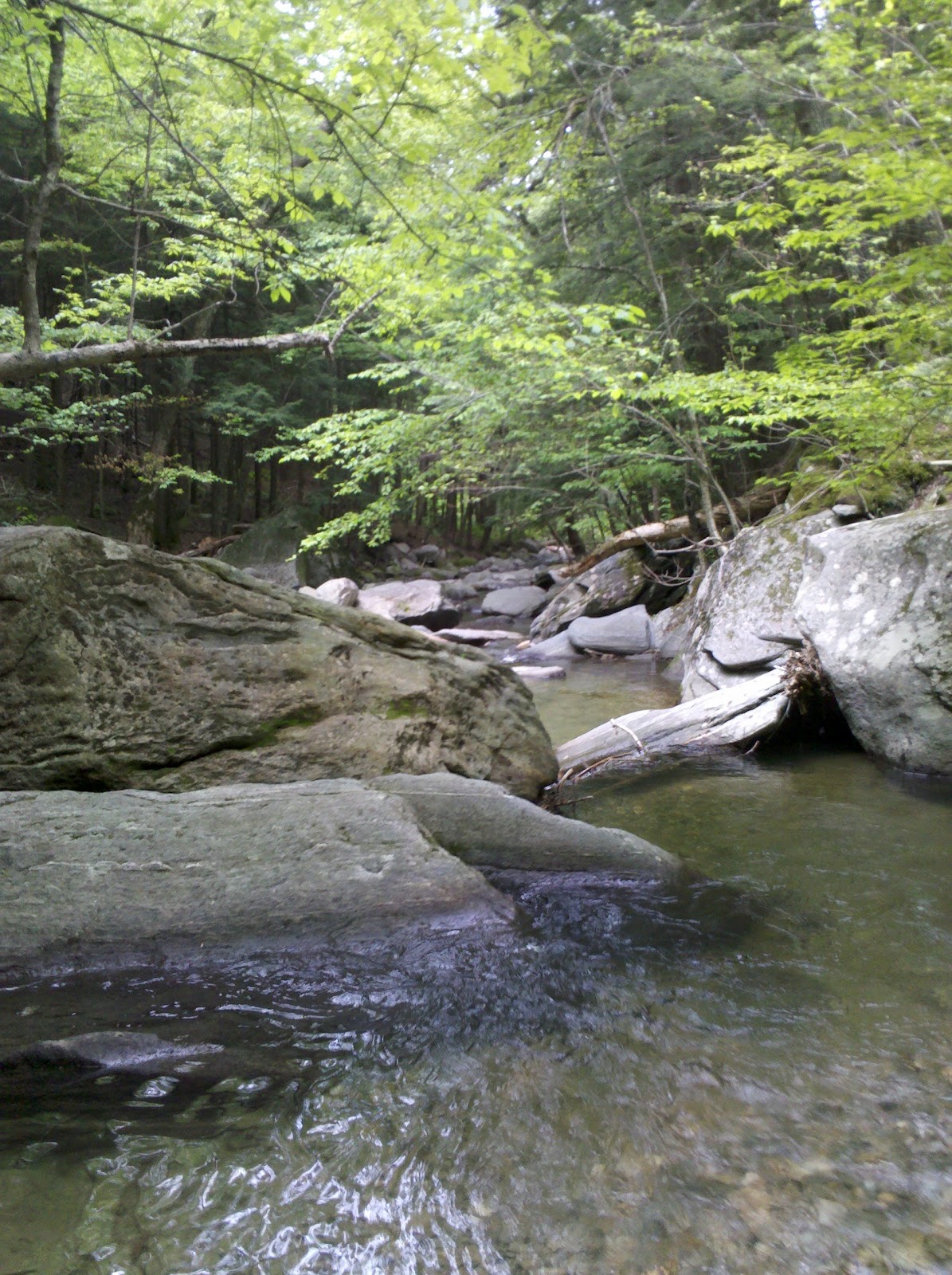 The Thompson Family Hiking Adventures: Hamilton Falls, Jamaica, VT