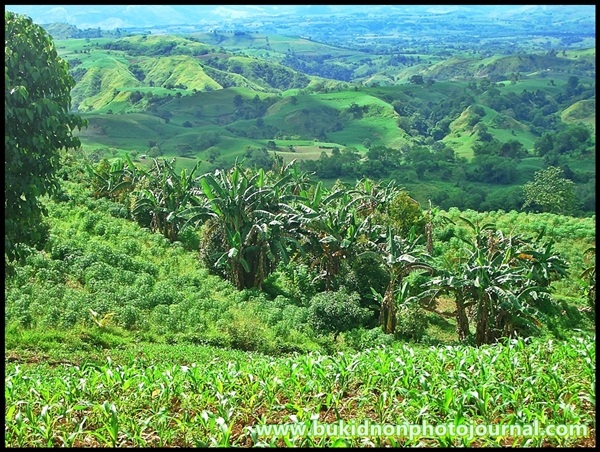 Bukidnon Photo Journal: Field Work Photos: Matampay, Kadingilan, Bukidnon