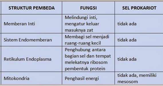 Pengertian dan Perbedaan Sel Prokariot dan Eukariot - Ujang Lala Blog
