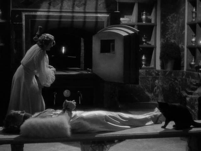 Desolation Angel's Damsels in Distress: The Black Cat (1941)