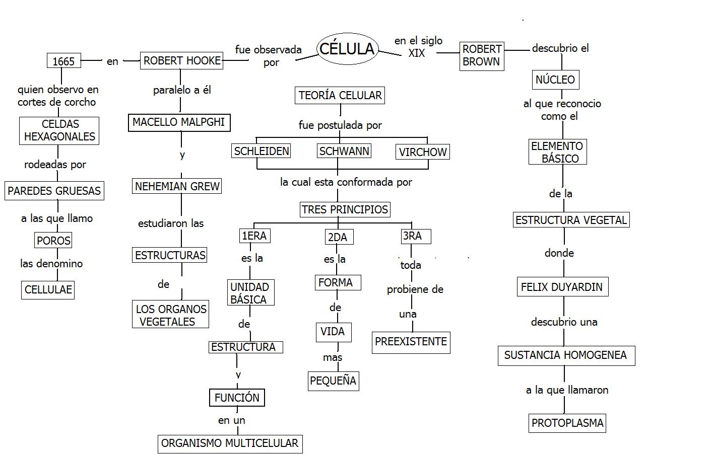 La biología a tu alcance: Teoría sobre la Célula