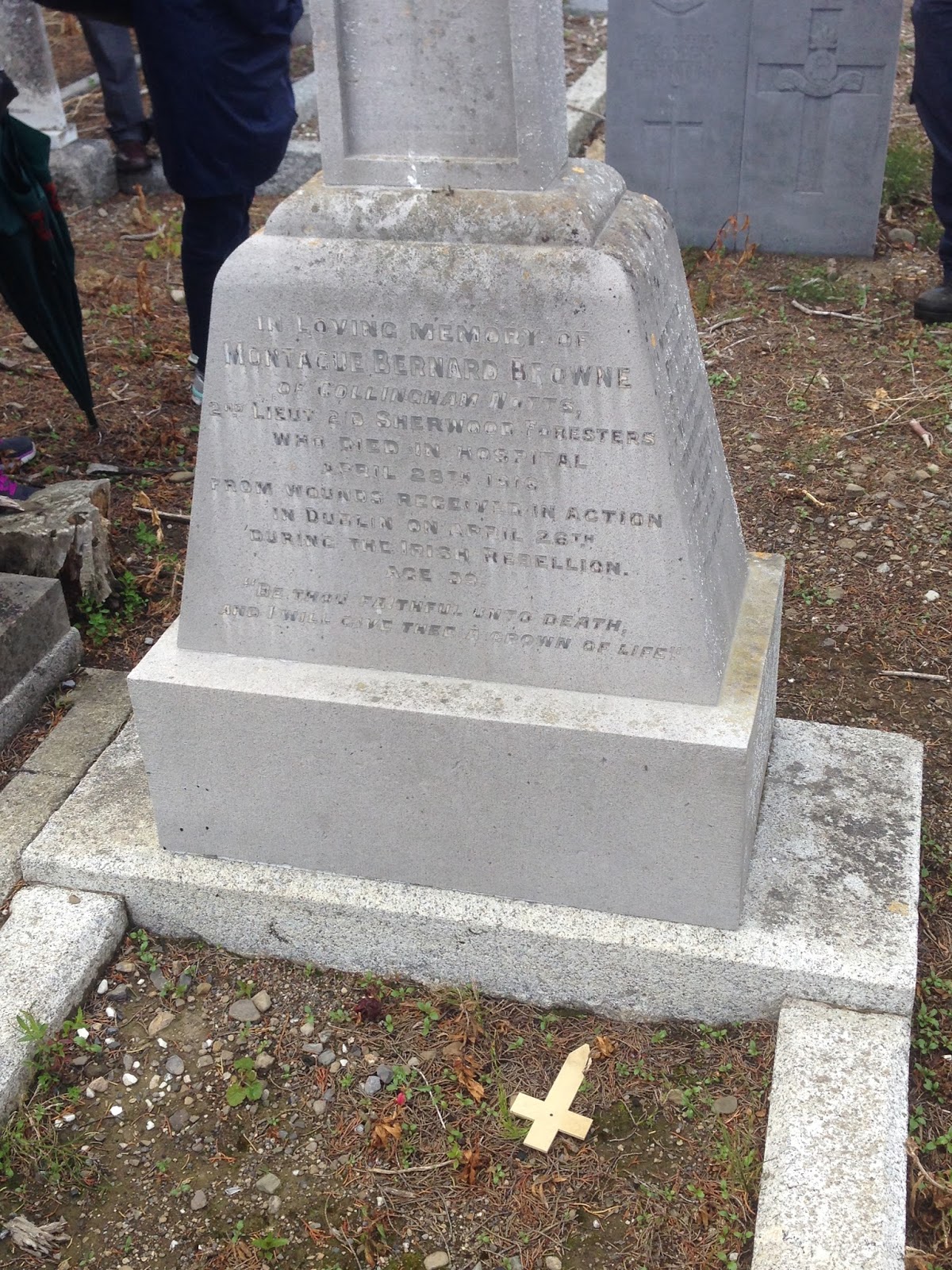 Careful With That Axe, Eugene: Deansgrange Cemetery World War I Graves Tour