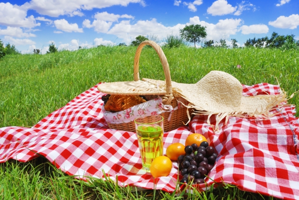 Diana’s Little Corner in the Nutmeg State: Picnic Time