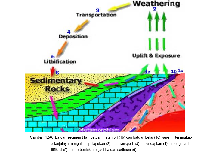 KONSEP BATUAN SEDIMEN - Our Akuntansi