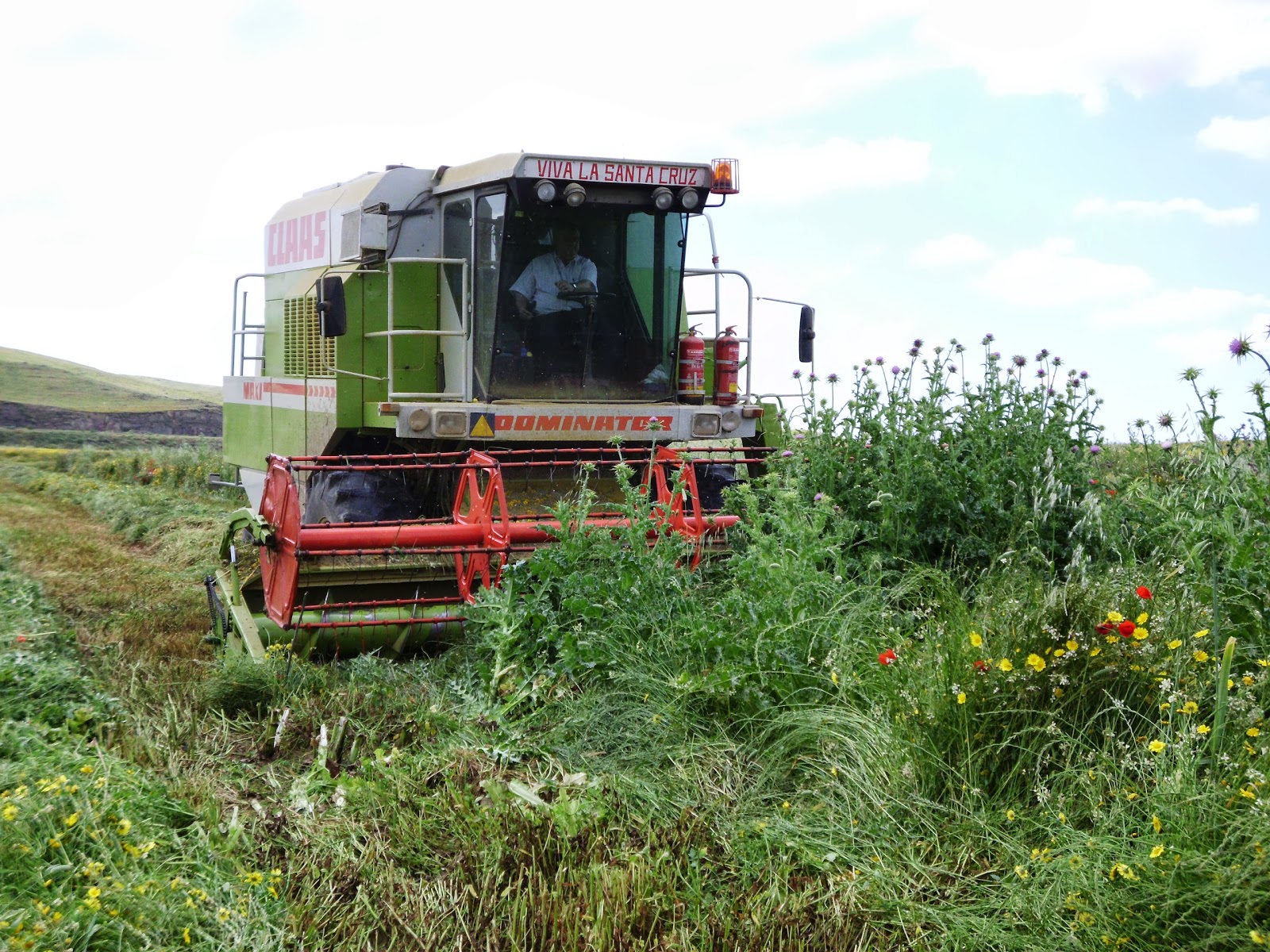 Dominator for all purposes: Mowing jobs