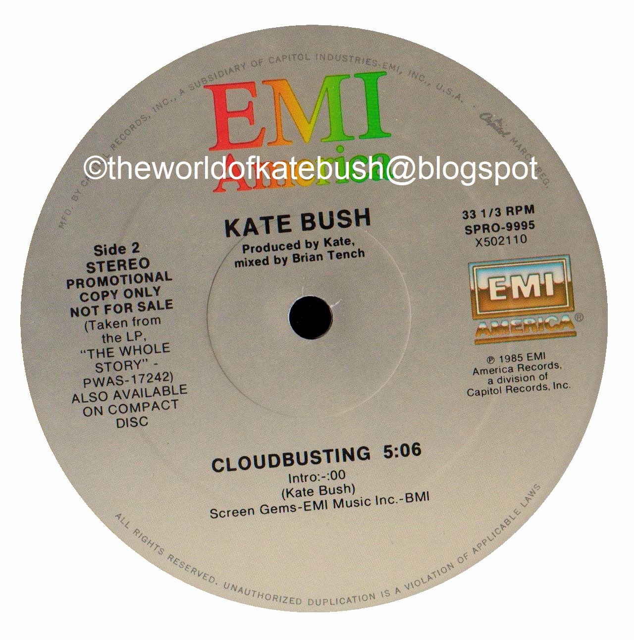 THE WORLD OF KATE BUSH: Cloudbusting - USA 12" Promotional Release