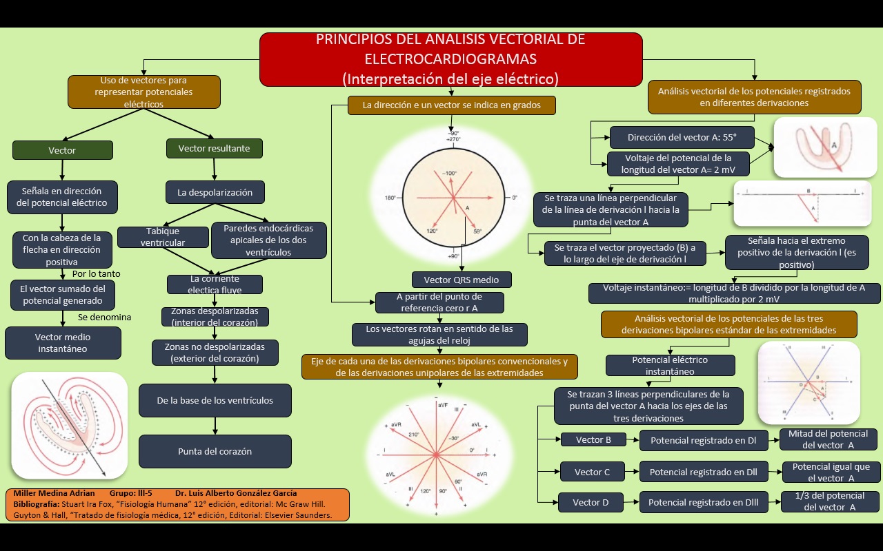 Fisiología básica: Electrocardiograma (Interpretación, Eje Eléctrico)