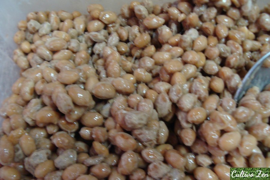 Cultivo Zen: NATÔ (Nattoo ou Nattō) – SOJA FERMENTADA