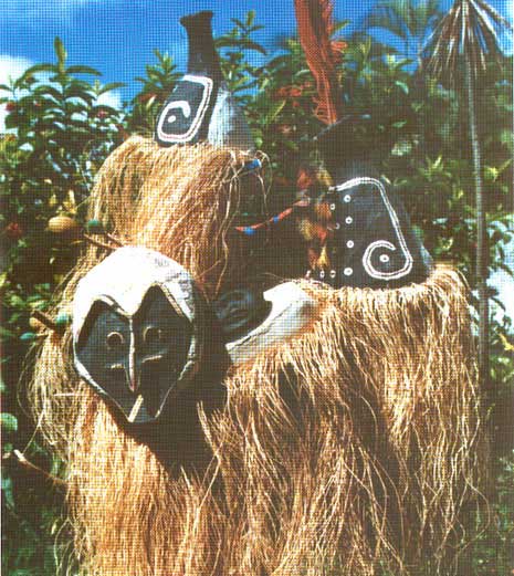 Despierta abre tus ojos: La ceremonia Piaroa del Wärime