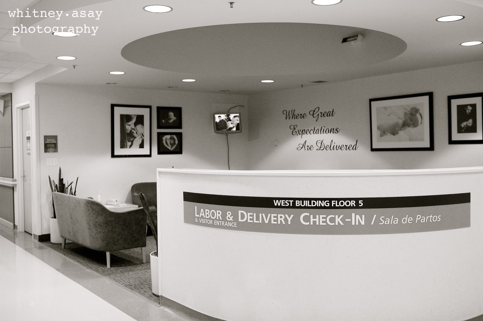 whitney asay photography