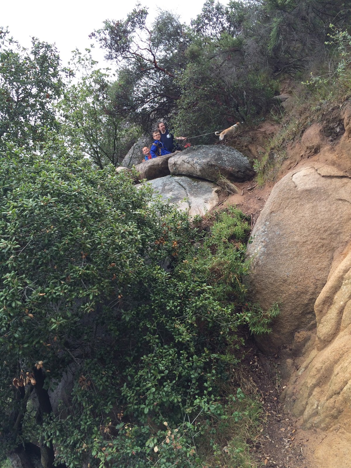 Adventures of a Semper Fi Family: Potato Chip Rock Hiking