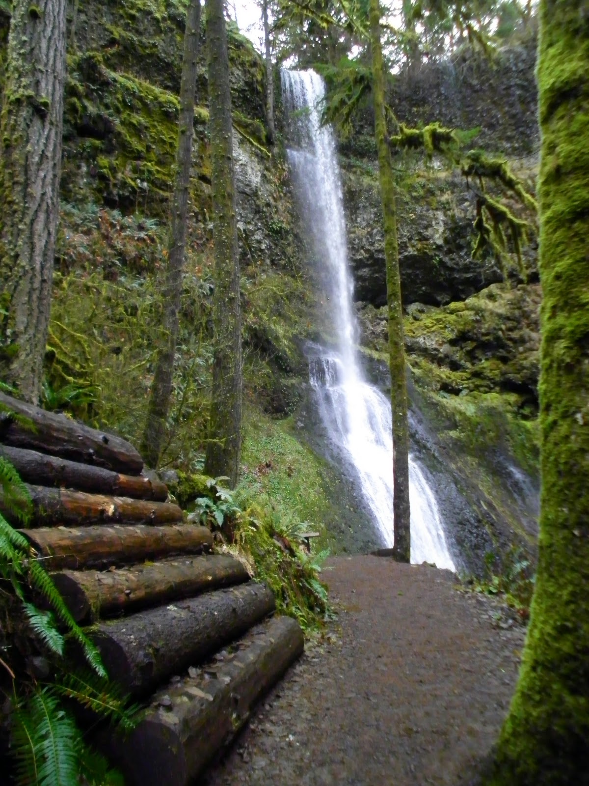 Black Watch Sasquatch: Silver Falls State Park - Silverton, Oregon