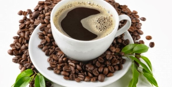 Gu cà phê và dòng chảy lịch sử | CUCKOO COFFEE