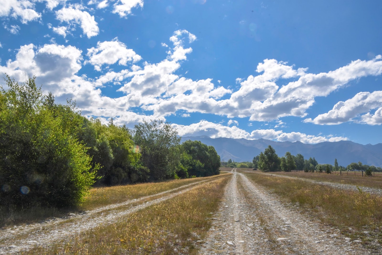 Paws Awhile: Lake Poaka