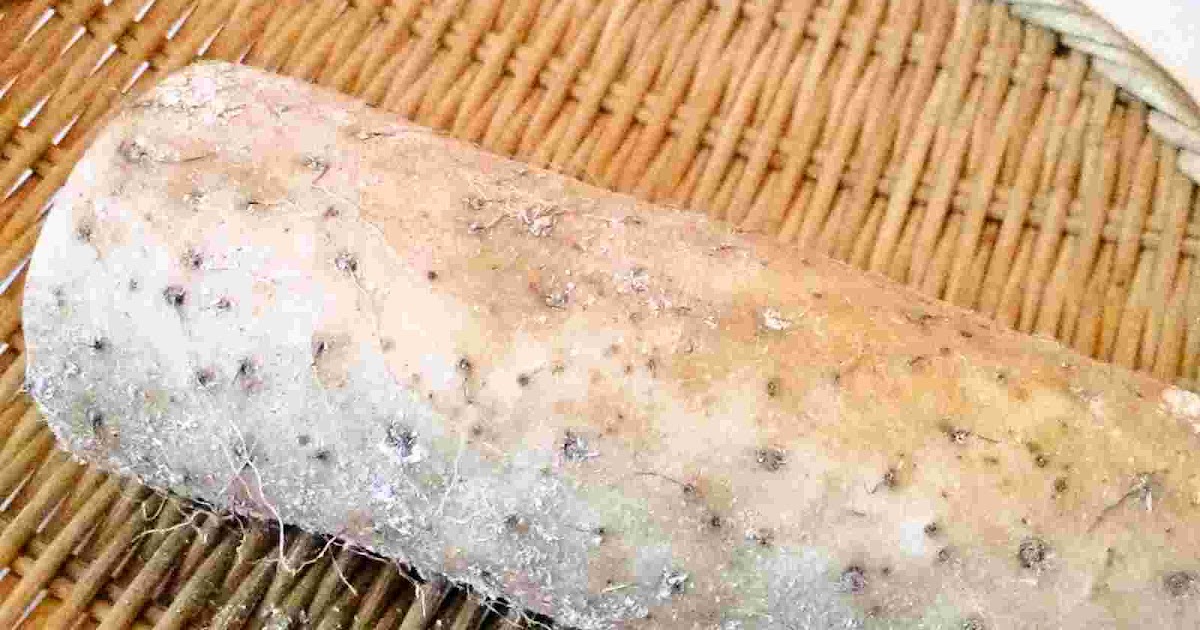 Recipes for Tom: Nagaimo Chinese yam