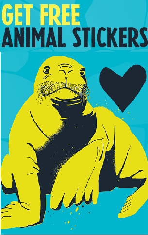 Free Animal Stickers Pack - HEAVENLY STEALS