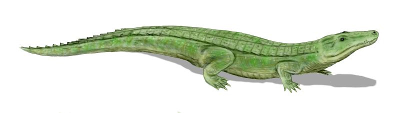 Los animales en la prehistoria: Animales prehistóricos con la letra G