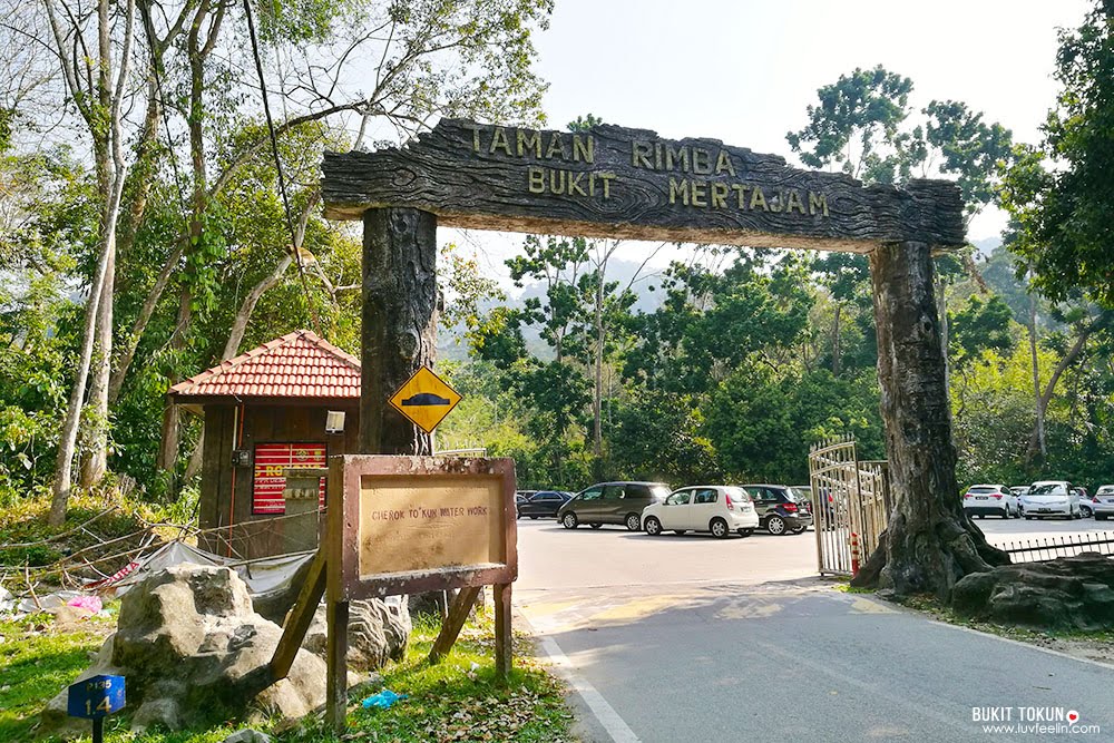 Bukit Tokun 大山脚【卓坤山】孟光水坝 | 板根大树 | 山顶电讯塔 - 乐飞翎 ♥ LUVFEELIN