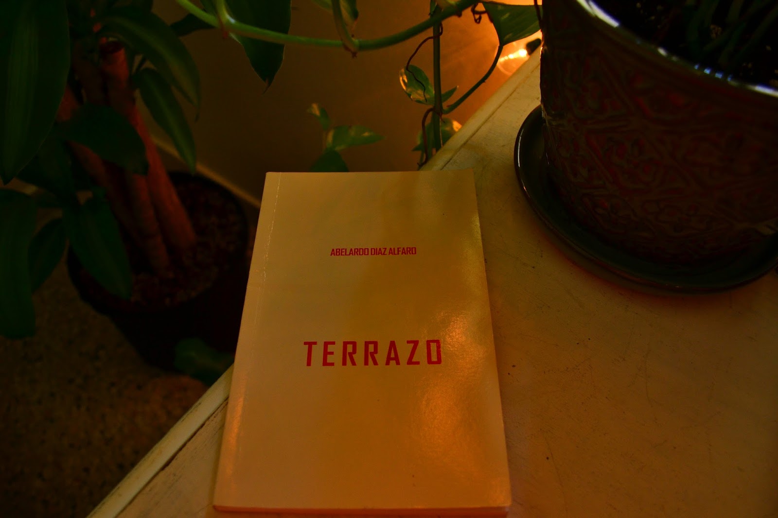 Historias sobre todos: Mi Isla soñada y Terrazo por: Abelardo Díaz Alfaro